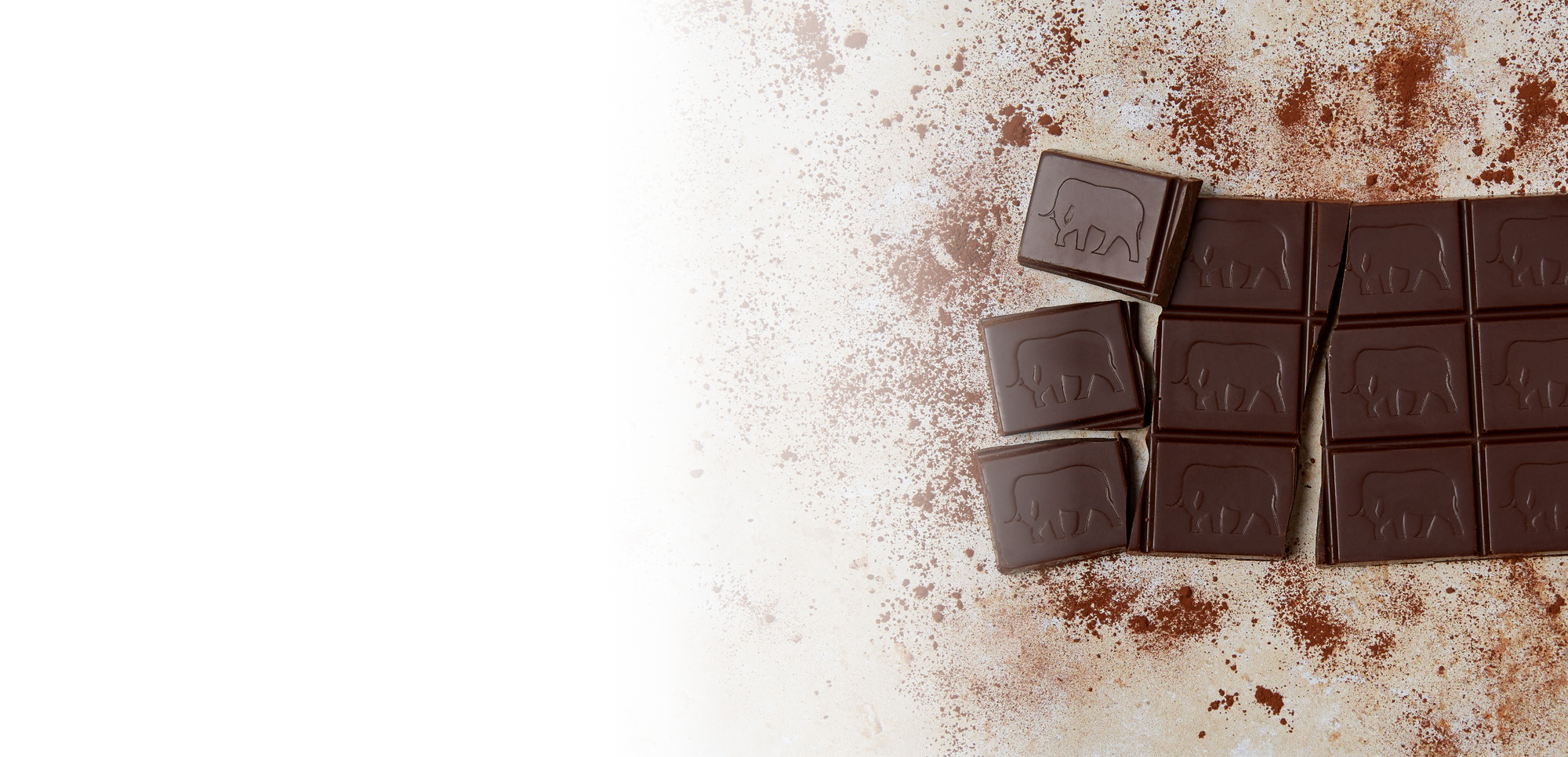 Endangered Species Chocolate